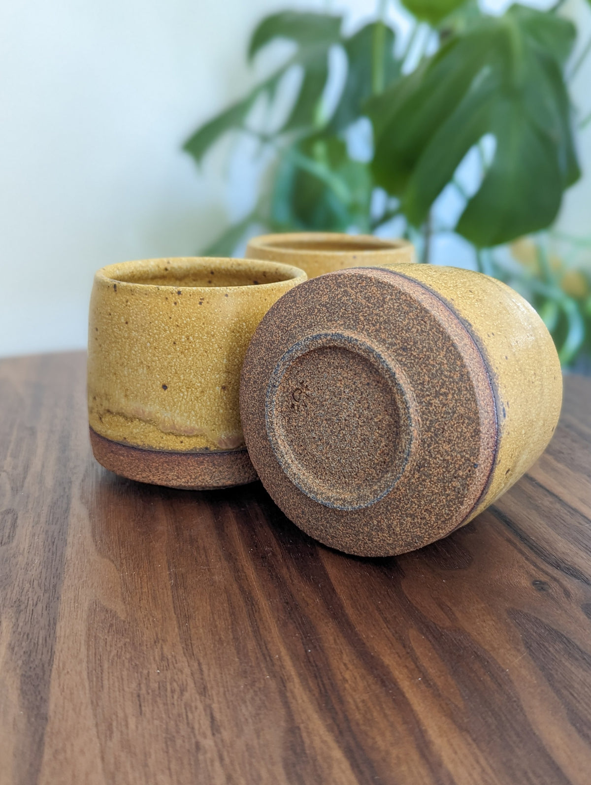 Holland Cup – Fenway Clayworks